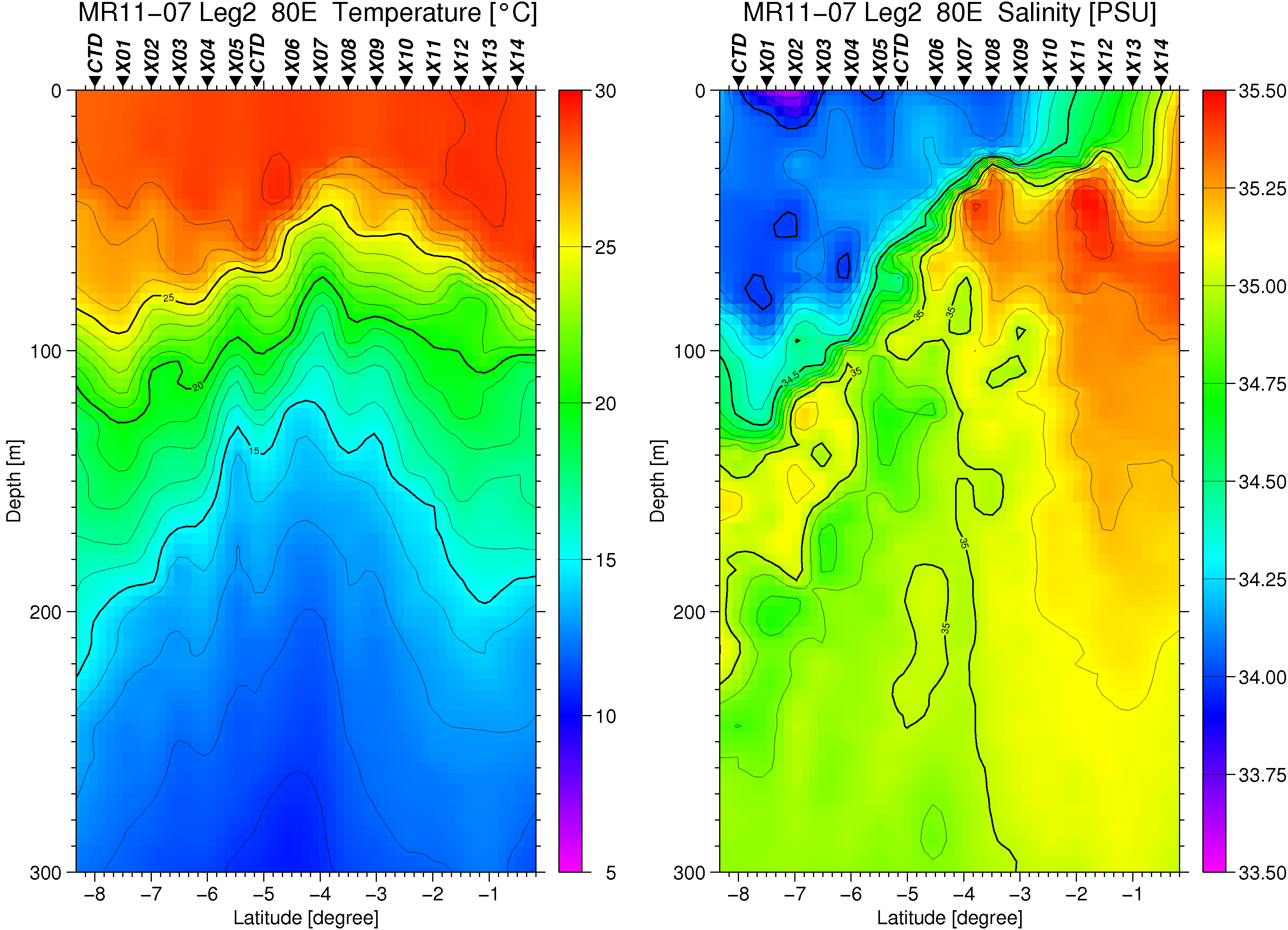 CINDY2011 -Observational Data and Model Outputs-