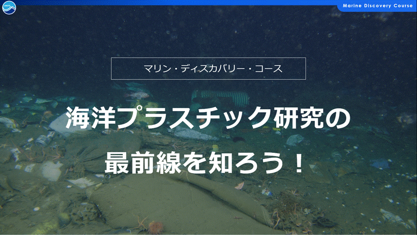 マリン・ディスカバリー・コース（MDC）｜JAMSTEC BASE