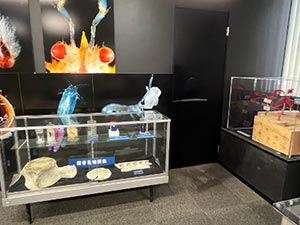 マリン・ディスカバリー・コース（MDC）｜JAMSTEC BASE