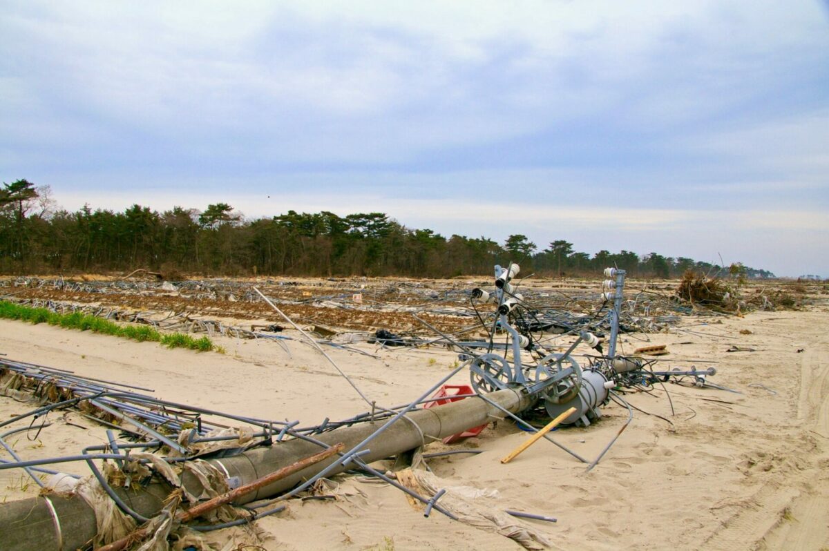 ＜第6回＞伊達政宗は「巨大地震」を見たか？（後編） (1ページ目)｜JAMSTEC BASE