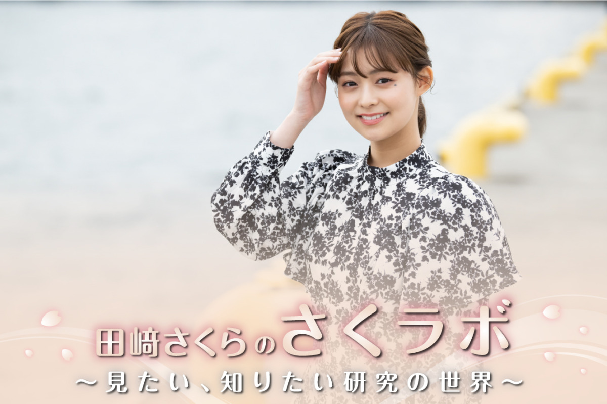 【第2回】木を進化させたい研究者を訪問！｜JAMSTEC BASE