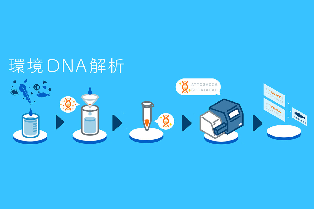 あのヨコヅナイワシ発見にも！「環境DNA分析」で未知の生物を探る ～遺伝子分析から迫る、進化と原始生命｜JAMSTEC BASE