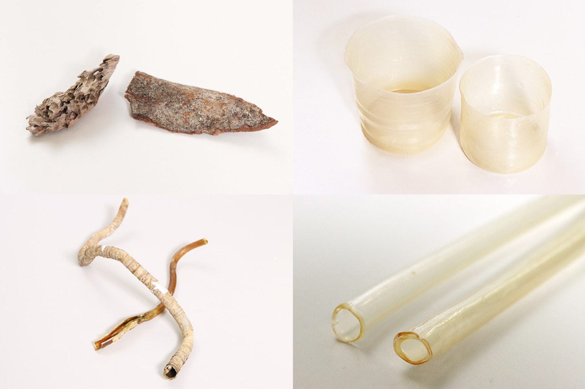 「木」や「カニの殻」由来の代替素材で、海洋プラスチック問題に挑む！――「海洋生分解性素材」開発奮闘記｜JAMSTEC BASE