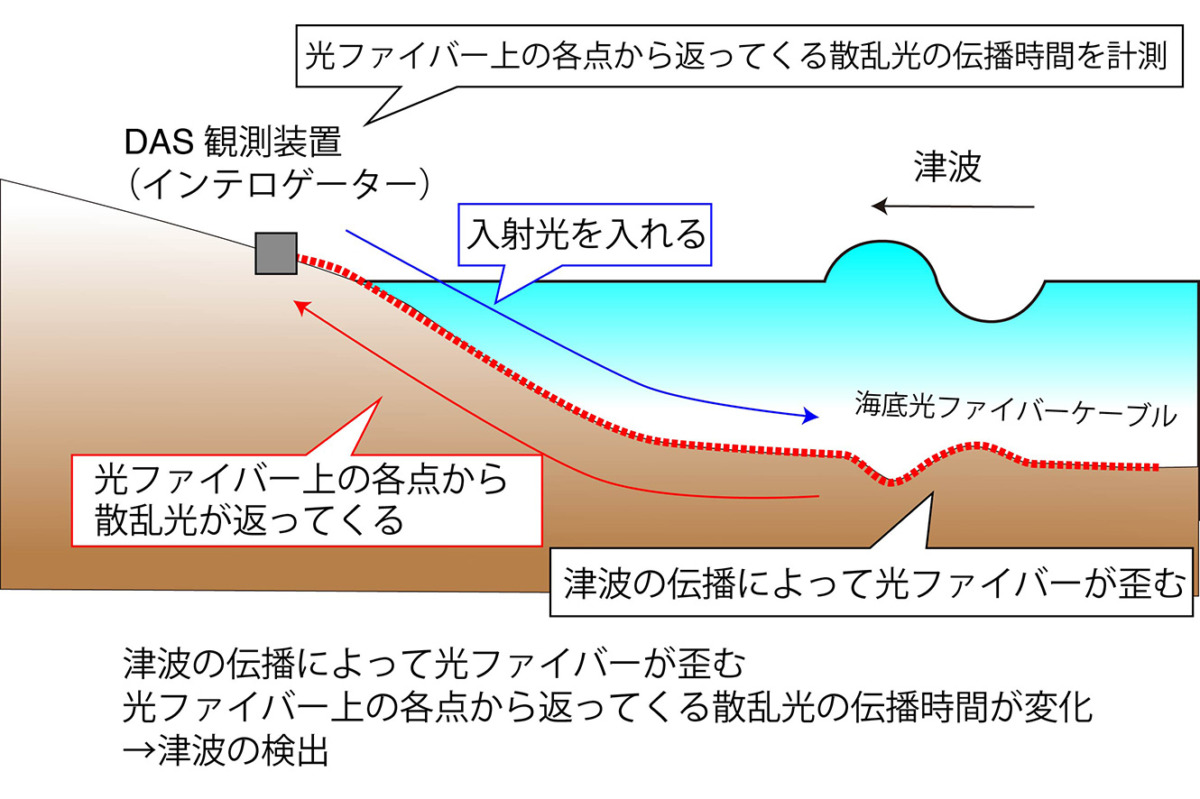 DAS技術による海底光ケーブルを用いた津波の観測｜JAMSTEC BASE