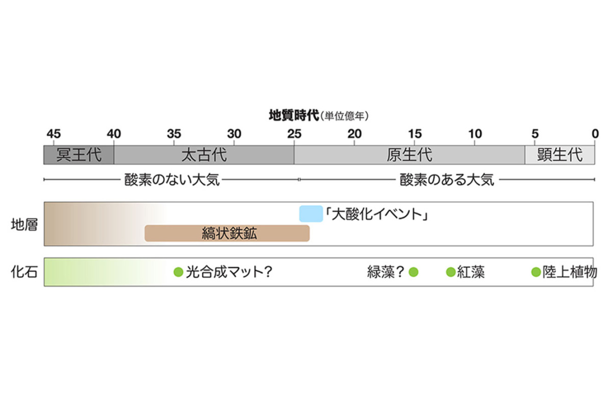 光合成を行う生物はいつ誕生したのか？地球生命史年表が書き変わる大発見に迫る！｜JAMSTEC BASE
