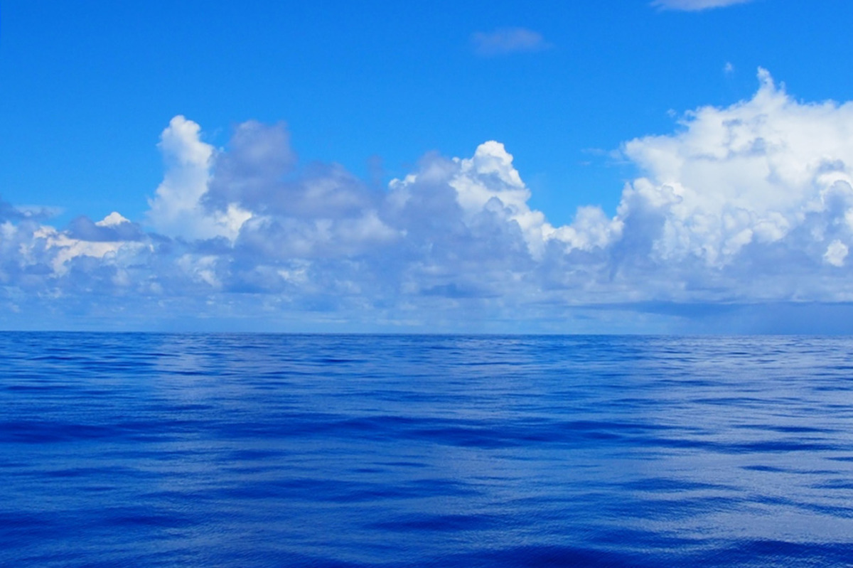 「生命」ってなんですか？生命研究の第一人者の意外な答えから「地球最初の生命の形」が見えてくる【海と生命の素朴なギモン】｜JAMSTEC BASE