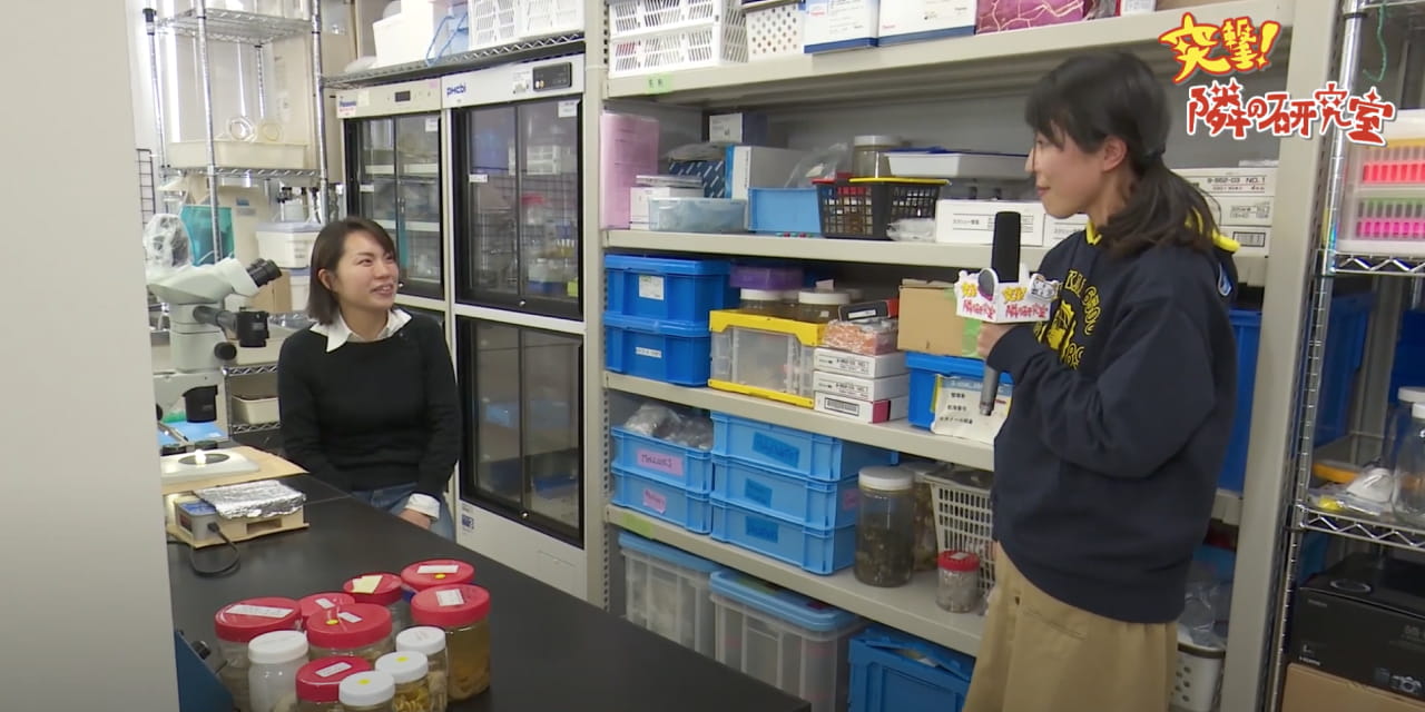 JAMSTEC PARK ｜ JAMSTEC 海洋研究開発機構 ジャムステック