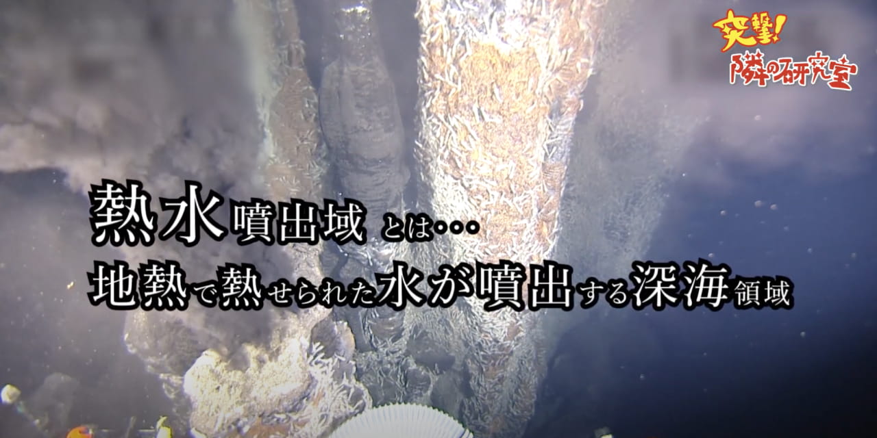 JAMSTEC PARK ｜ JAMSTEC 海洋研究開発機構 ジャムステック